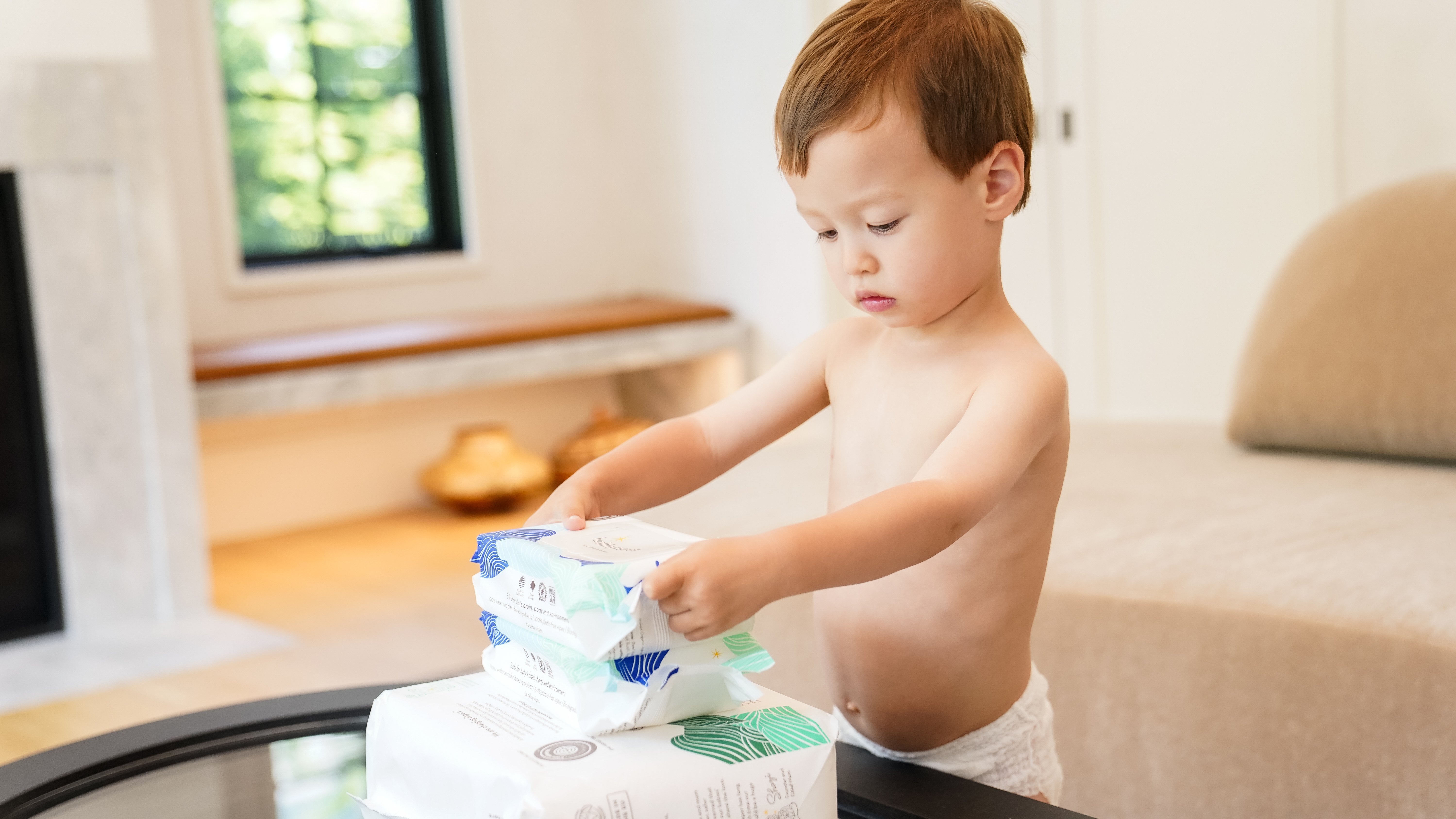 Toilet Transitions Webinar